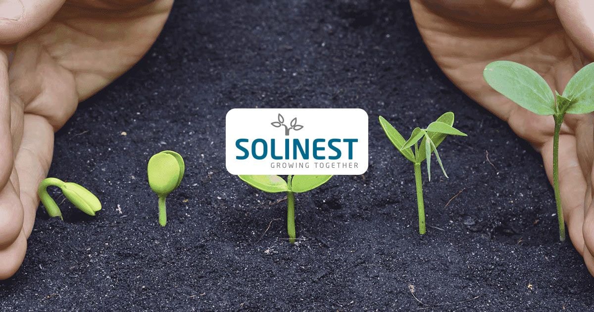 Solinest recrute. 12 offres d'emploi